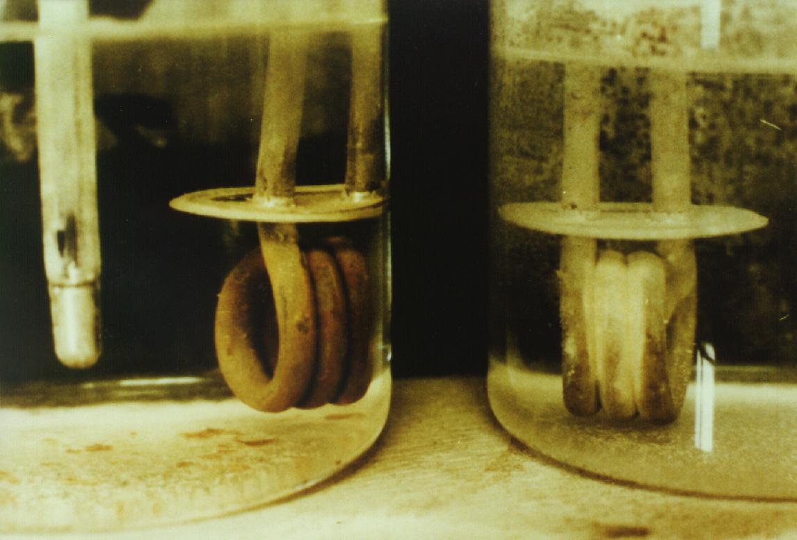 D-CALC Kalkschutzanlagen